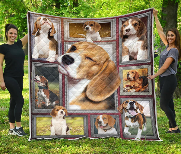 Beagle Premium Blanket & Quilt - QB023PA - BMGifts